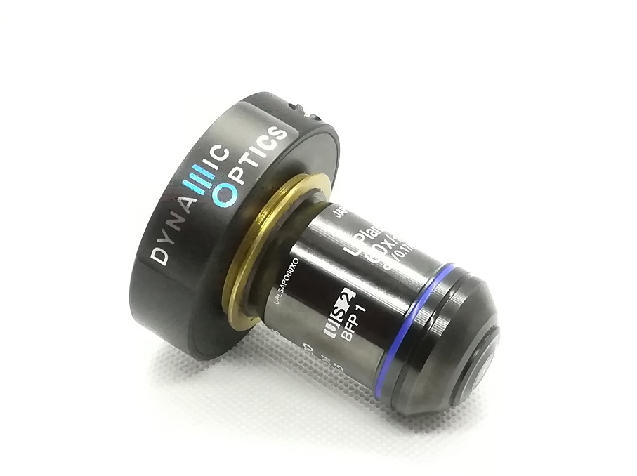 Plug-and-Play Lens Simplifies Adaptive Optics for Microscopy | Optica